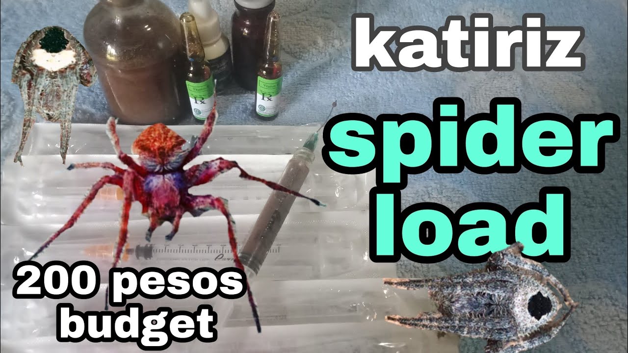 GAGAMBA LOAD PAANO GAWAIN-explain laban ng malakas at mailap na gagamba ...