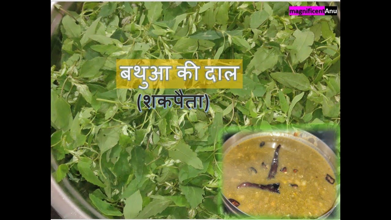 स्वादिष्ट एवं पौष्टिक बथुआ की दाल-शकपैता एक बार मेरे तरीके से बनाएं ...