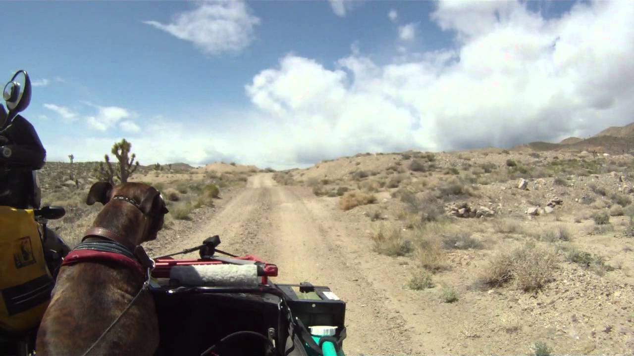 Aras & Spirit ride to the Stateline Cabin, Nevada - YouTube