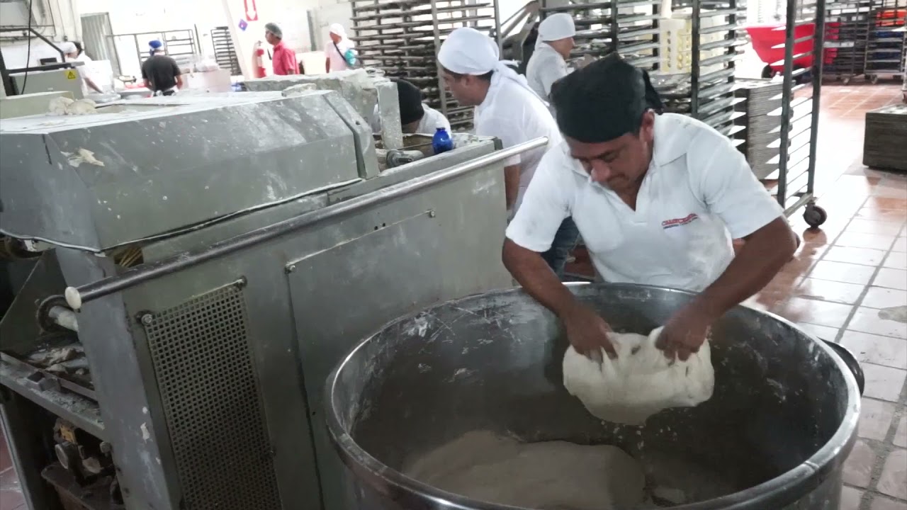 Producción de Pan - YouTube