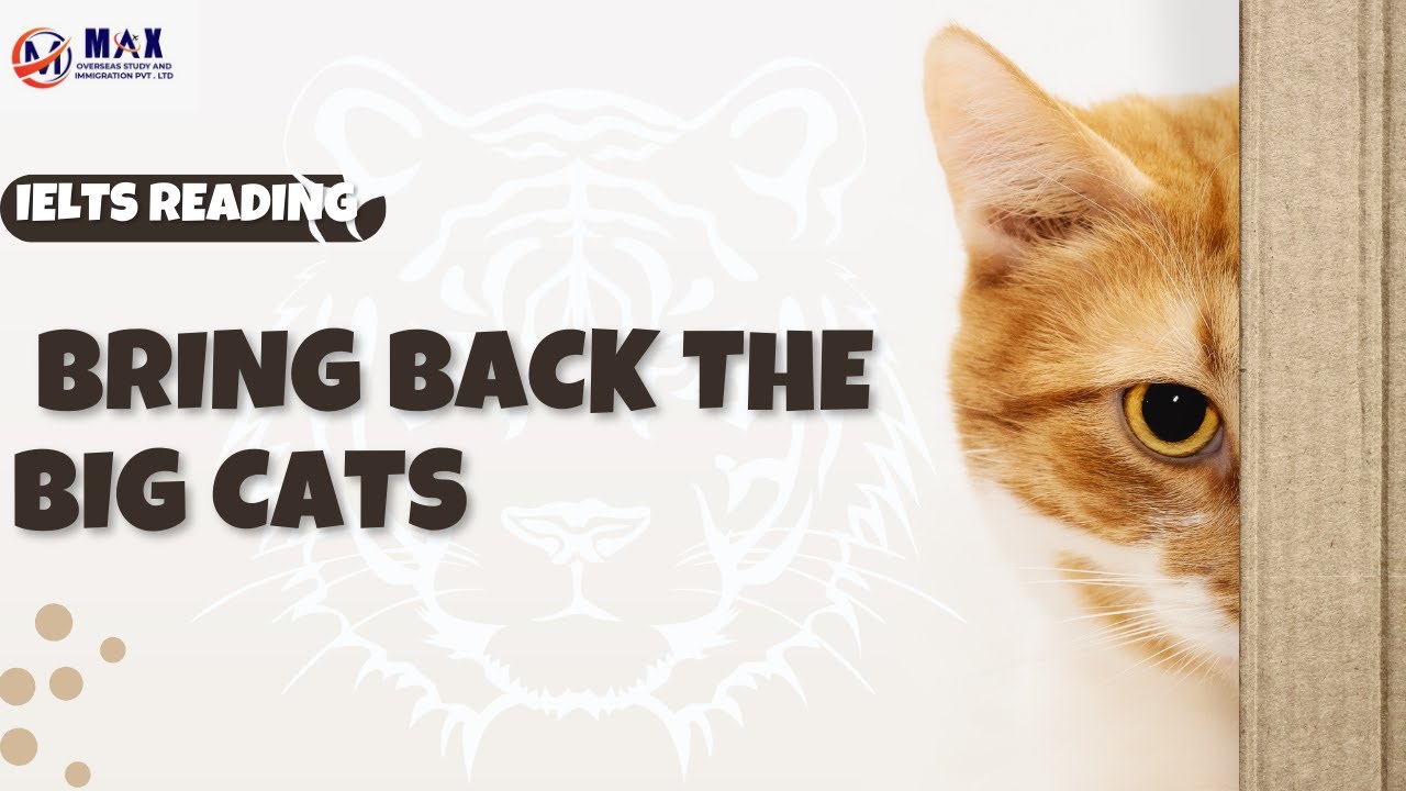 IELTS Reading:- Bring Back the Big Cats (Cambridge 12, Reading 2, Part ...