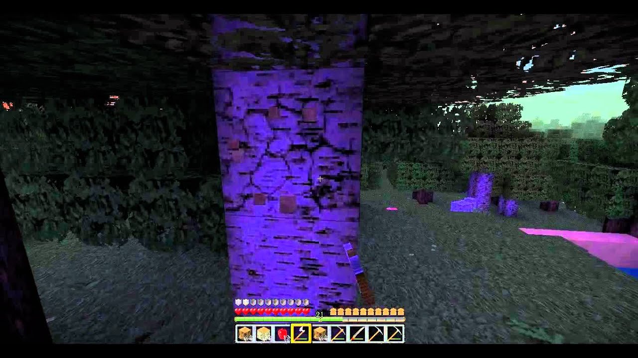 Minecraft #006 Wald und Farm - YouTube