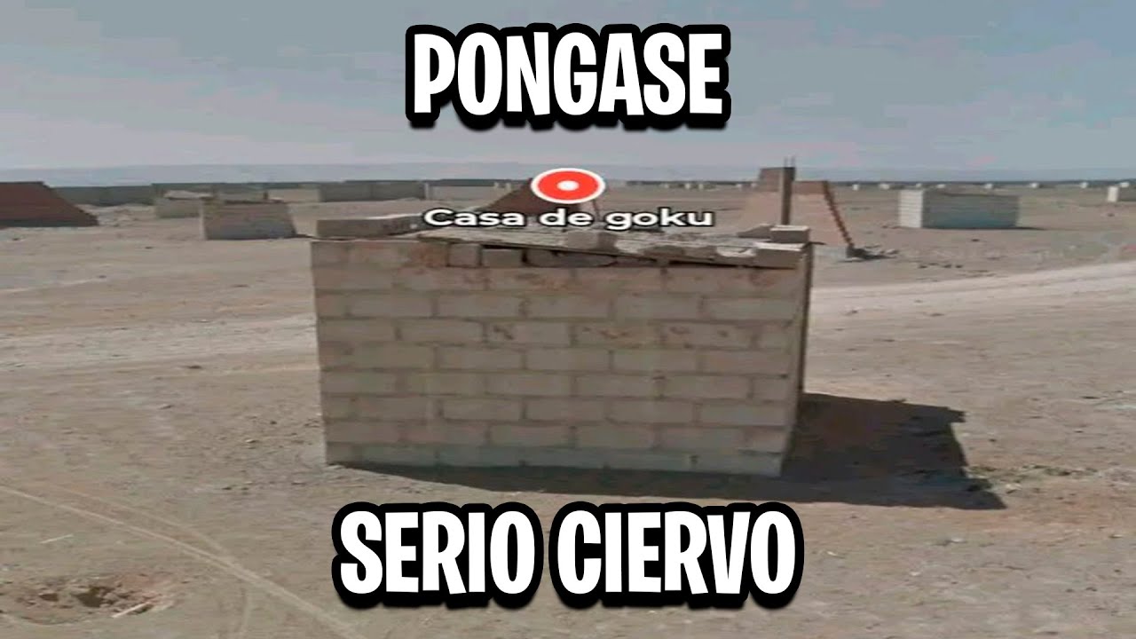 Shitposting Compilation V97 (MEMES de la SEMANA) - YouTube