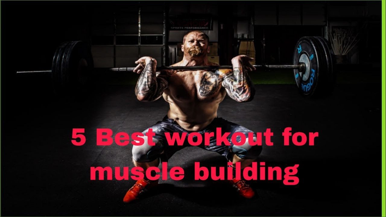 5 best workout for muscle building - YouTube