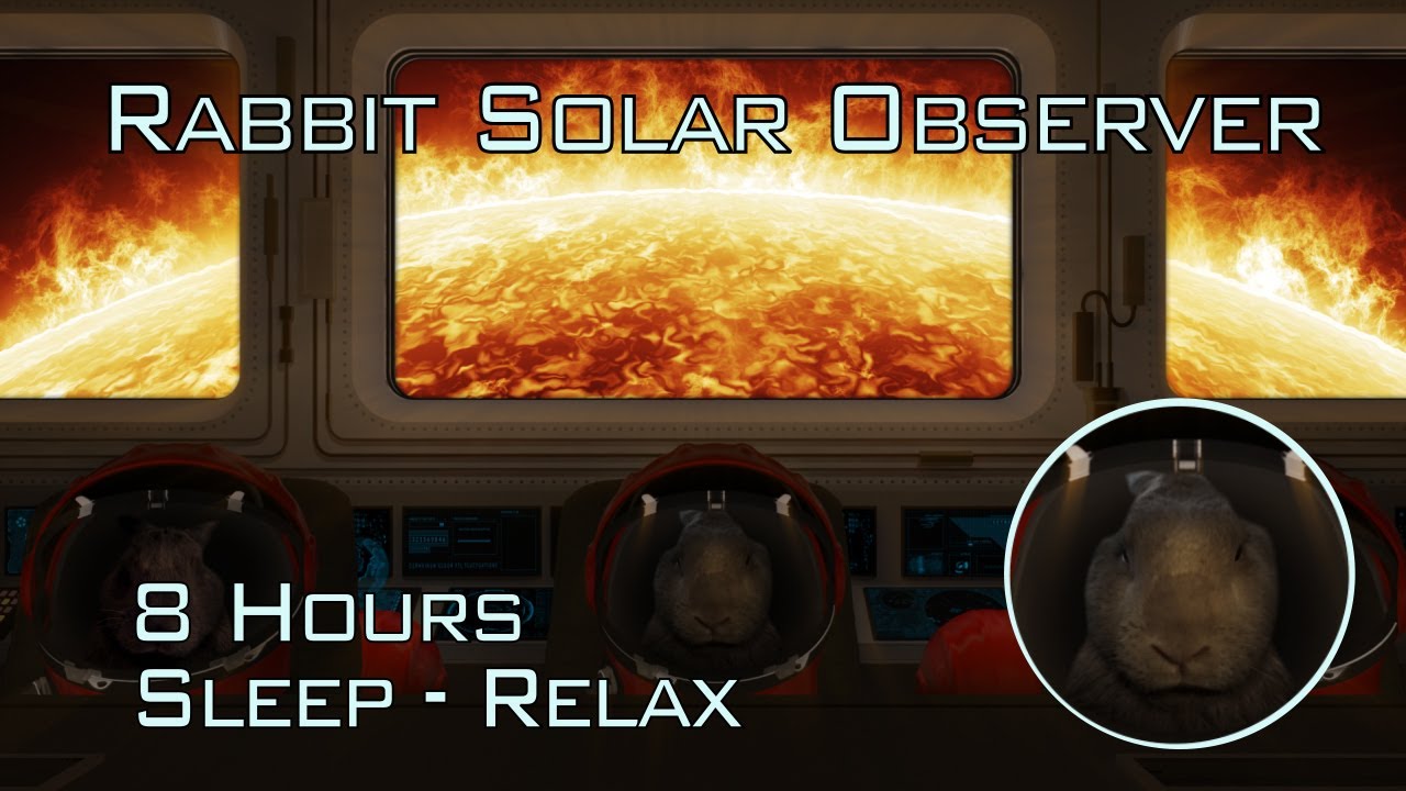 Rabbit Solar Observer | Space Bunnies | Sleep | Relax | Soothing Bunny ...