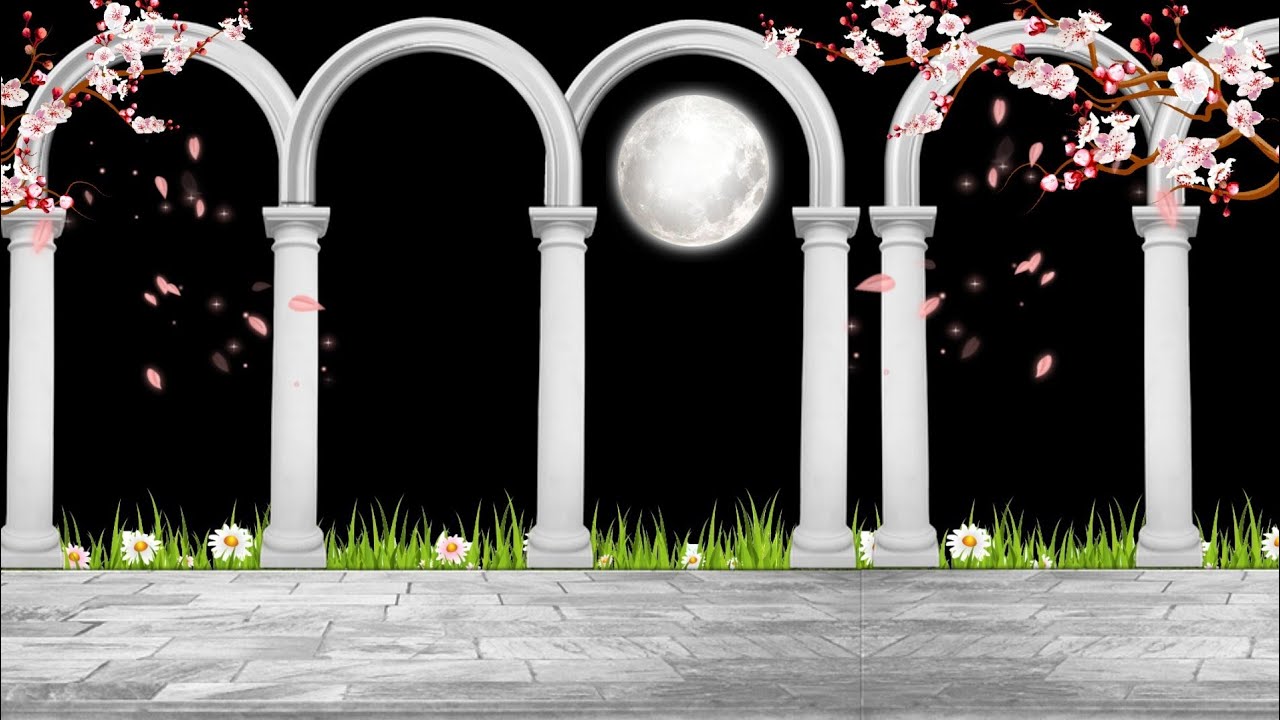 Falling Leaves Animation / Template Video Background / Background Video ...