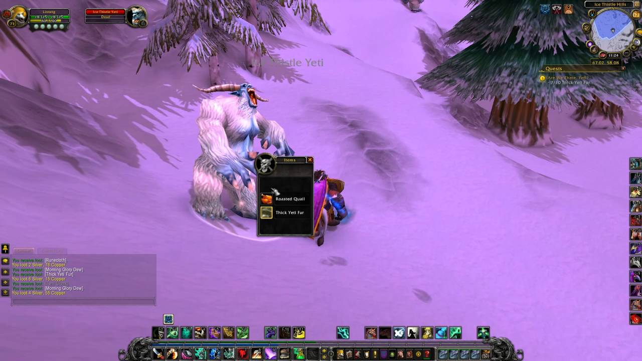 Are We There Yeti Quest ID 28629 Playthrough Winterspring - YouTube