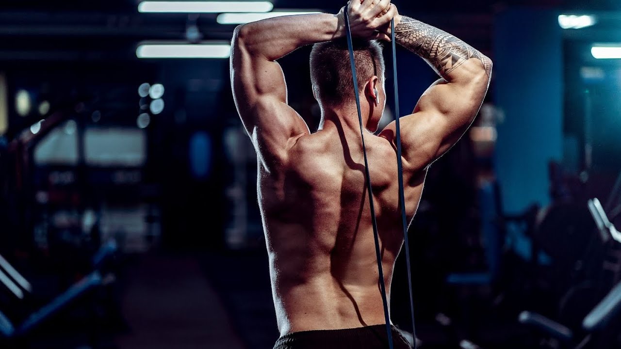 BACK WORKOUT - YouTube