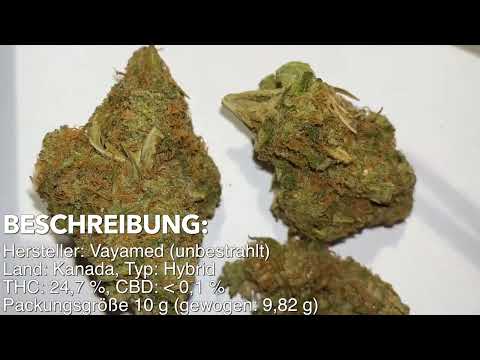 Avaay 26/1 SK (Sour Kush)