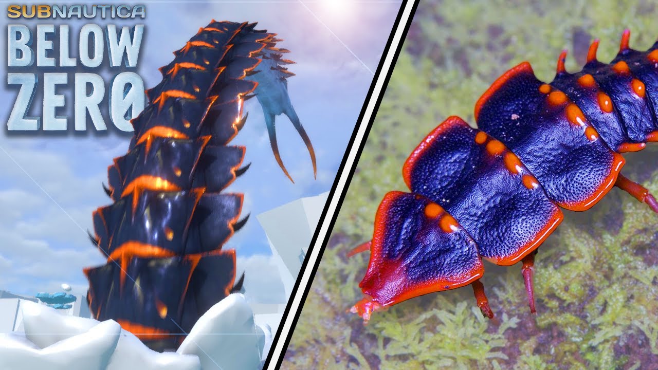Subnautica Below Zero Creatures In Real Life! | Creature Counterparts ...