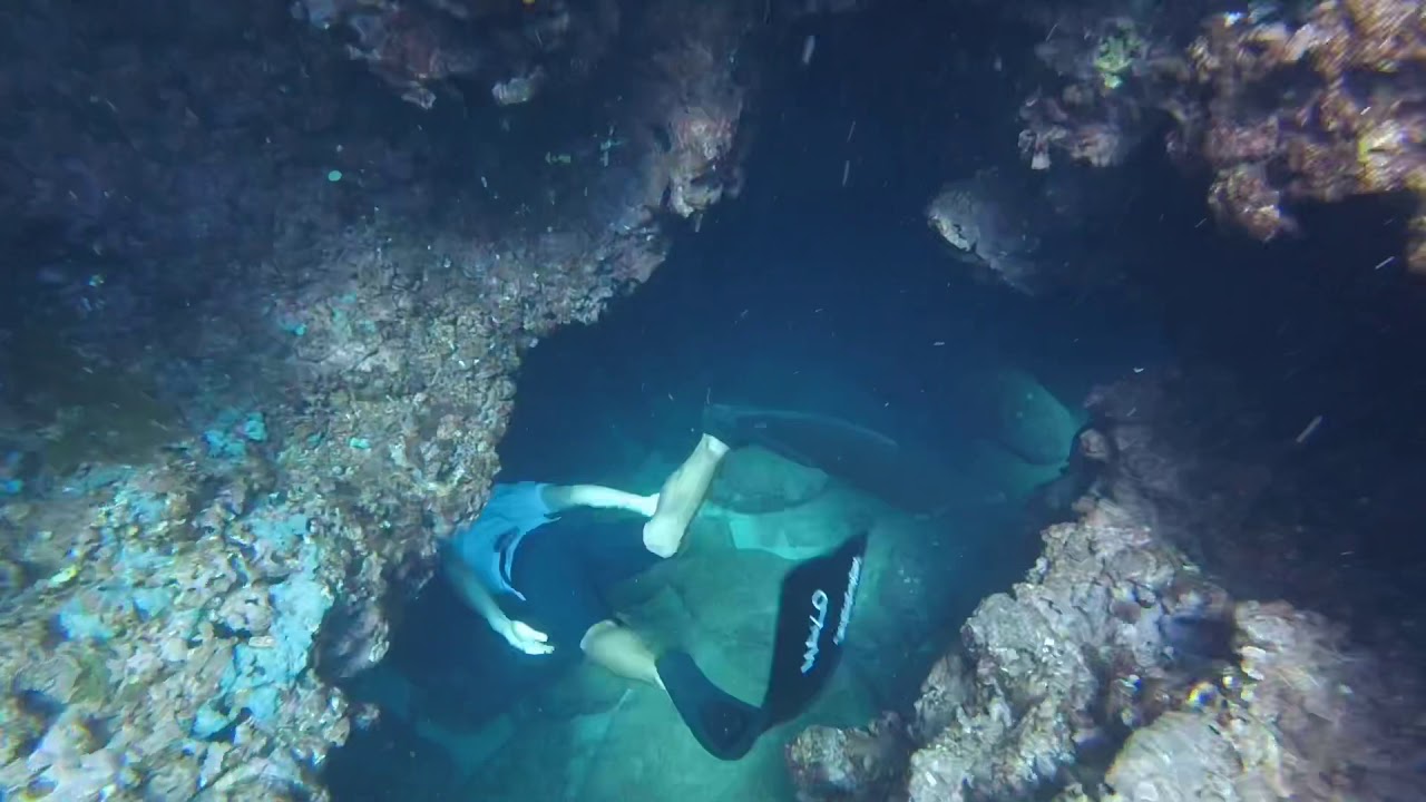 Cave diving - North Shore Oahu shark’s cove - YouTube