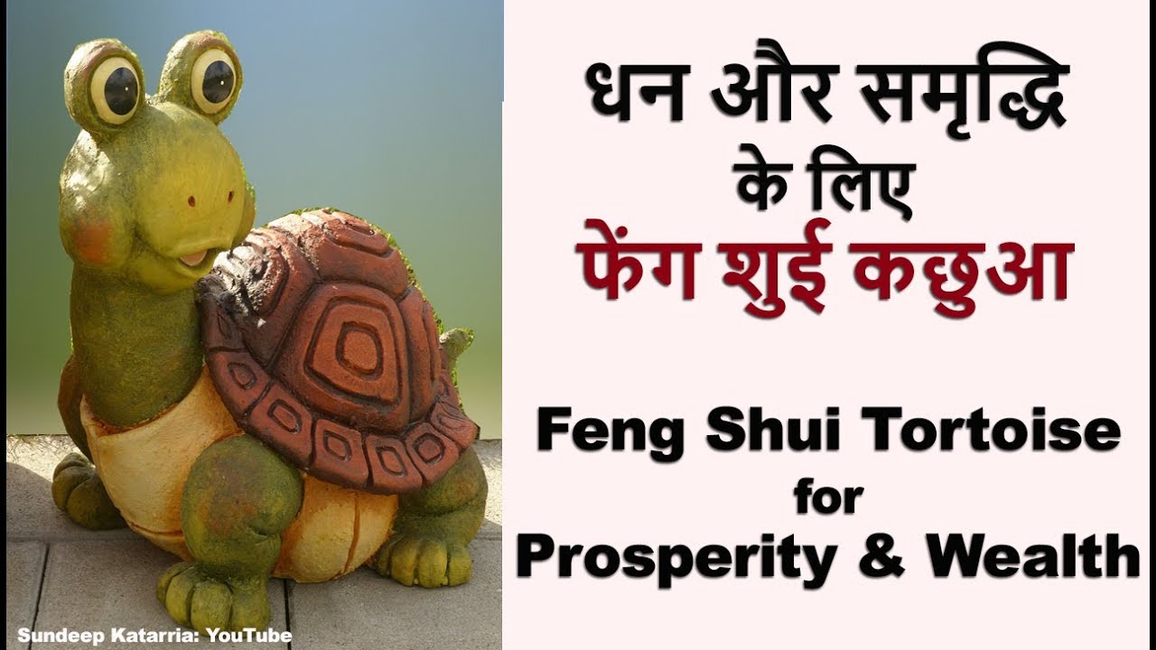 Feng Shui Turtle Tortoise for Prosperity and Wealth - YouTube