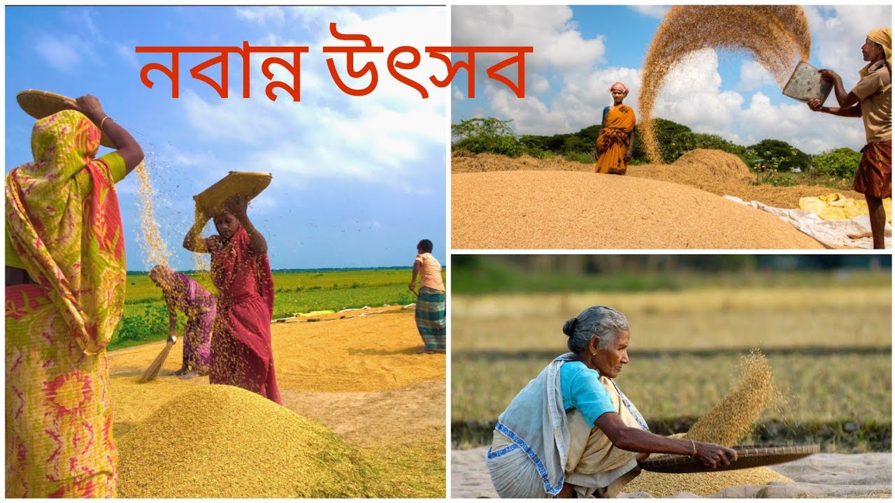 নবান্ন |বাঙালির নতুন ধানের চাল খাবার উৎসব||Traditional nobanno festival ...