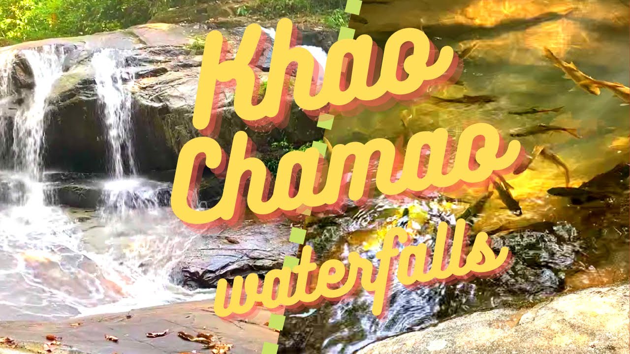 Thailand waterfalls Khao Chamao Rayong, FLESH EATING FISH - YouTube