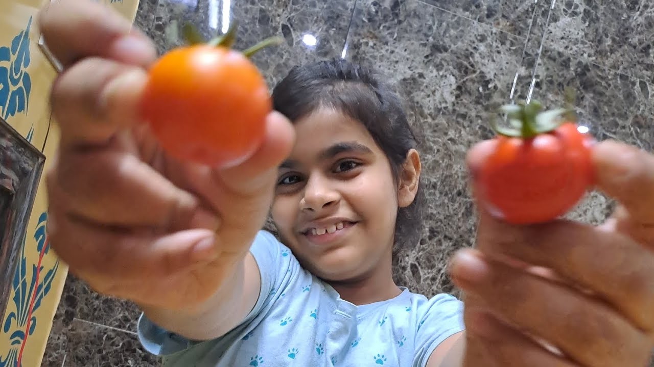 tomatoes 🍅 🍅 of my garden#Vlog#enjoying garden tomatoes 🍅 😋 - YouTube