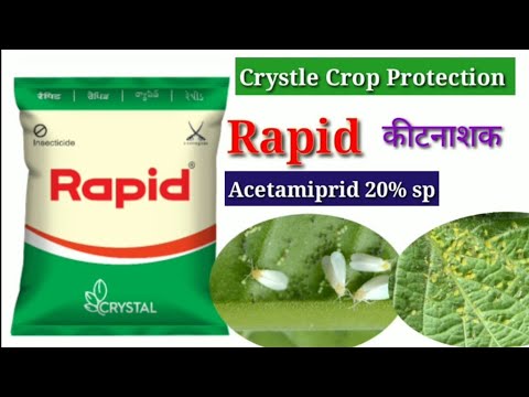 Rapid insecticide || Acetamiprid 20 % sp || Crystle crop protection ...