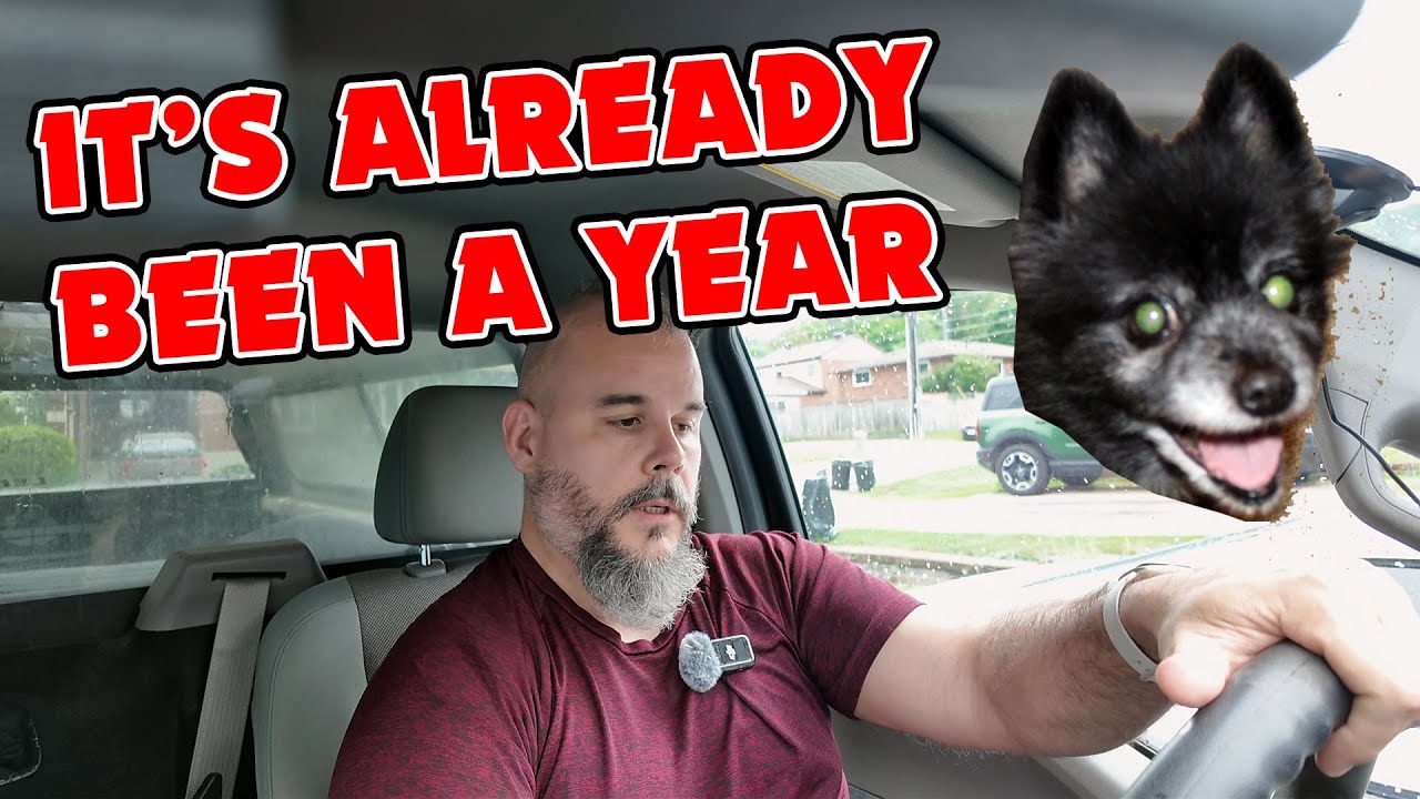 Can't believe its already been a year - YouTube