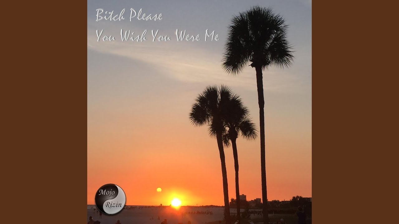 Bitch Please You Wish You Were Me - YouTube