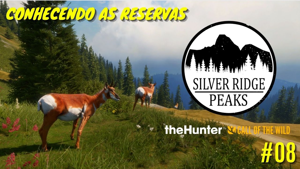 #08 - SILVER RIDGE PEAKS - CONHECENDO O MAPA E SUAS ESPÉCIES - THE ...