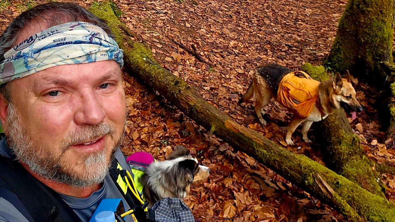 Koomer Ridge Loop Red River Gorge - YouTube