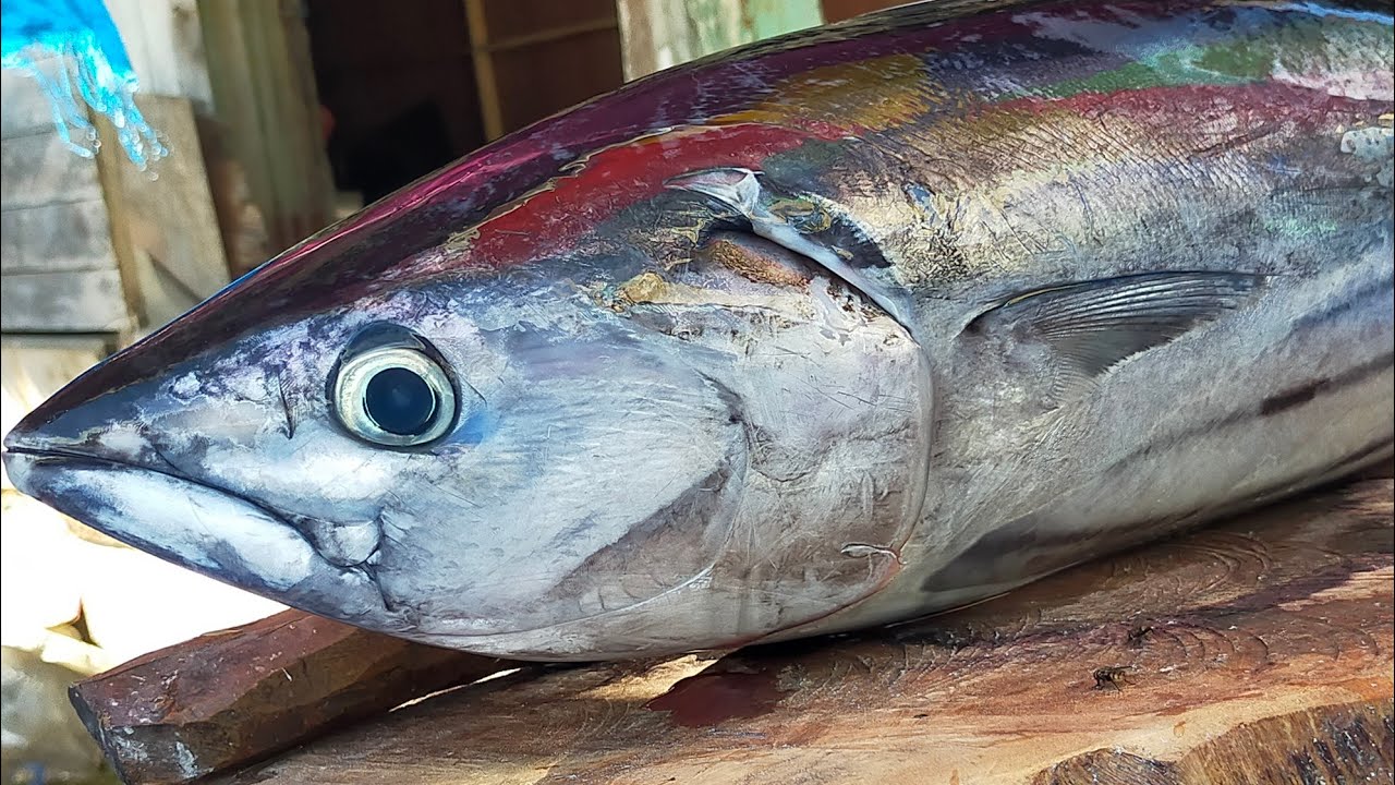 Breathtaking Skillset! Skills Cleaning & Cut TUNA Red - YouTube