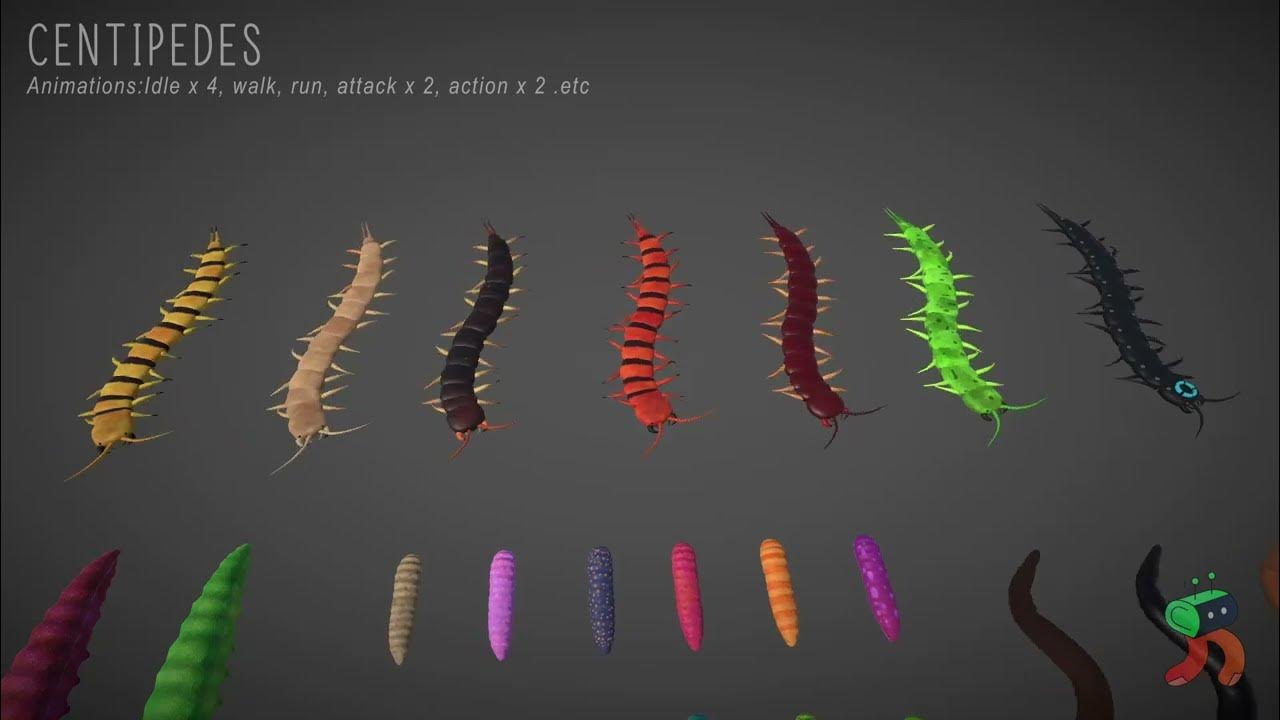 Centipedes 3d animated for Unity | Download as a Unity package. asset store - YouTube