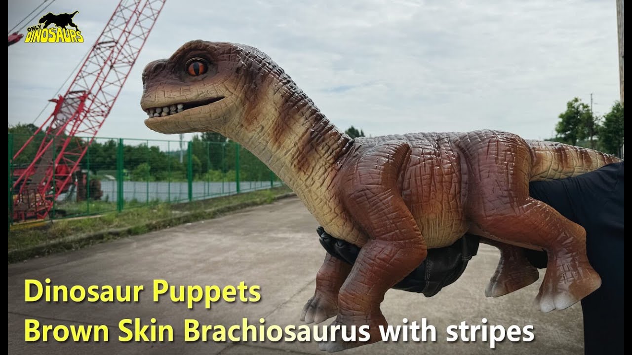 Brown Skin Brachiosaurus with stripes | Dinosaur puppets - YouTube