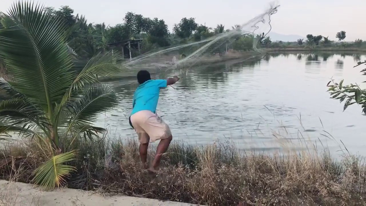 Cast netting good catch - YouTube