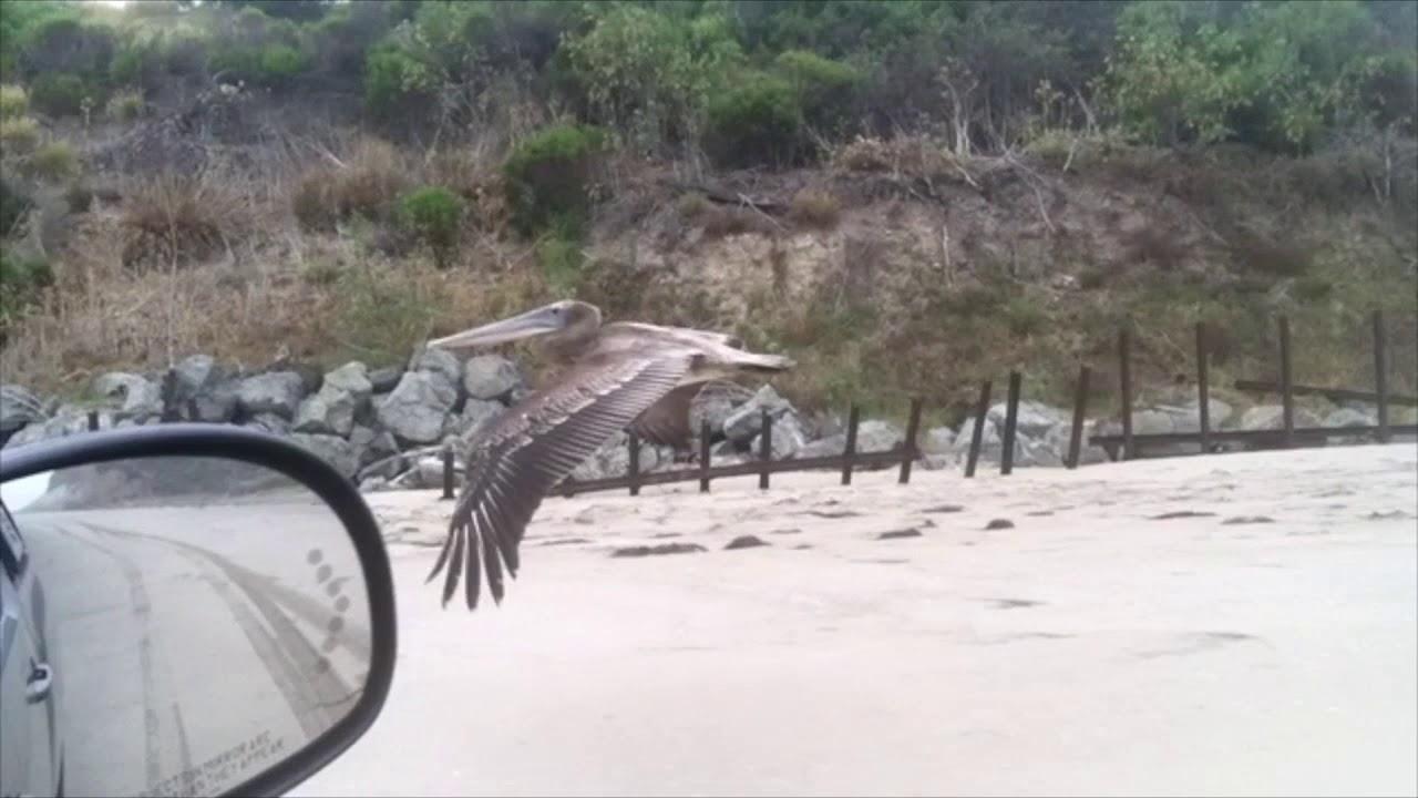 "Soar in D" Chris Pelonis ©2020 - YouTube