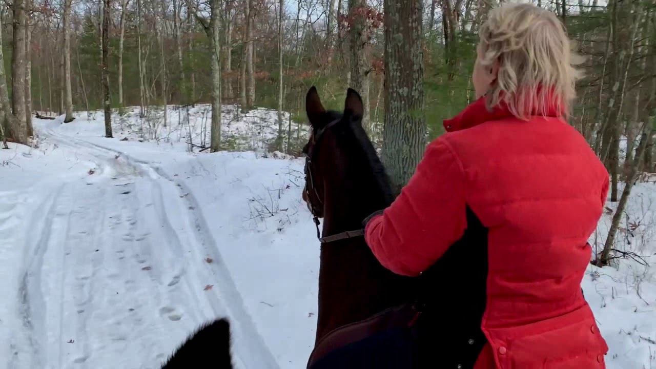 Douglas State Forest Massachusetts December 24, 2020 - YouTube
