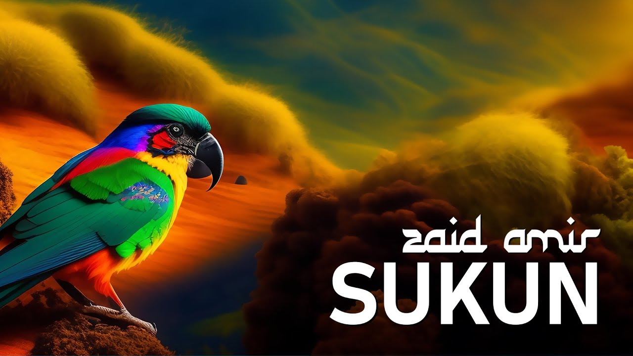 Zaid Amir - Sukun (2024) - YouTube