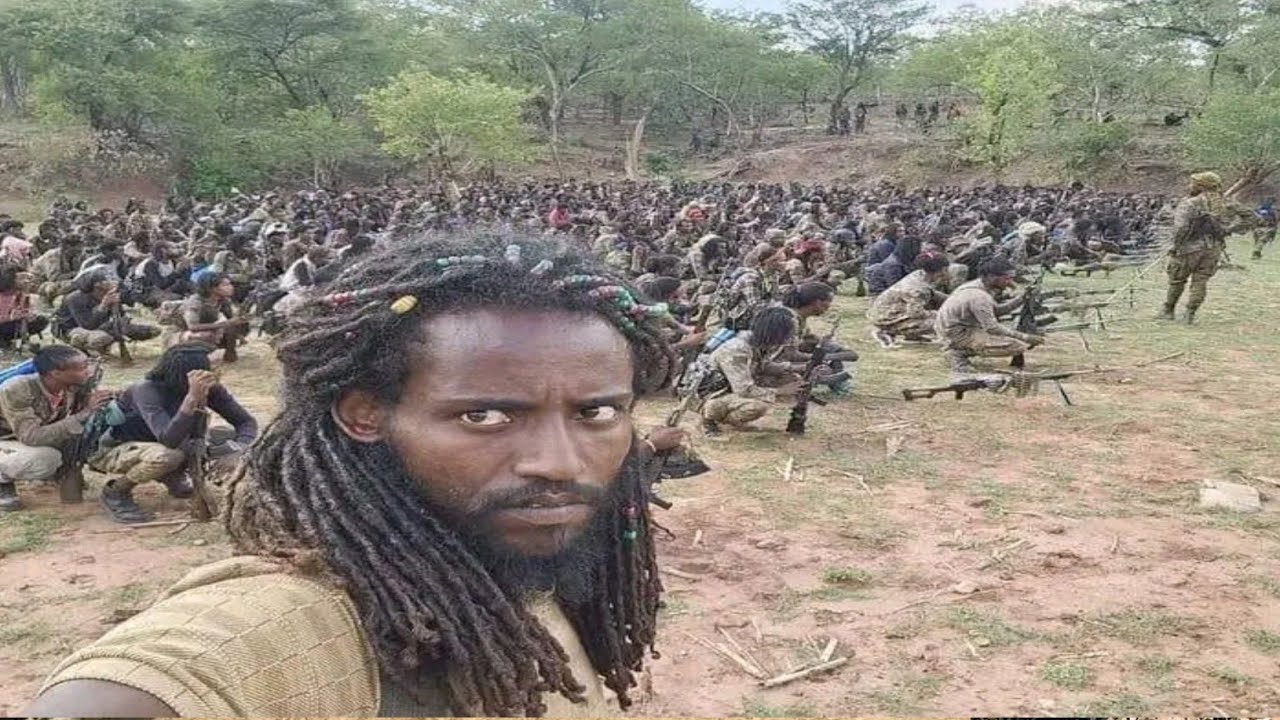 ODUU Hatattama WBO'n Godina Gujii Lixaa Aanaa Galaanaatti Injifannoo ...