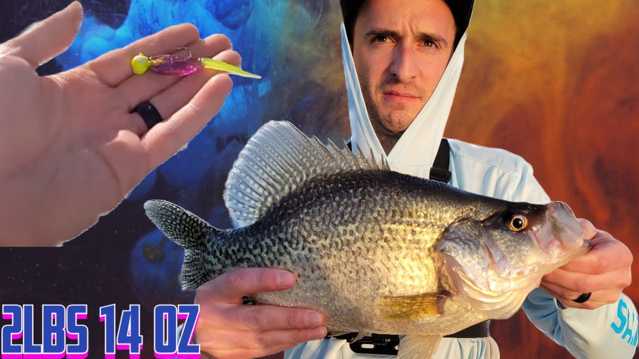3lb CRAPPIE CANT RESIST THESE JIGS! - YouTube