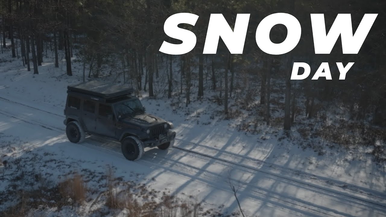 A Snow Day in the Chowan Swamp Gamelands | Exploring North Carolina ...