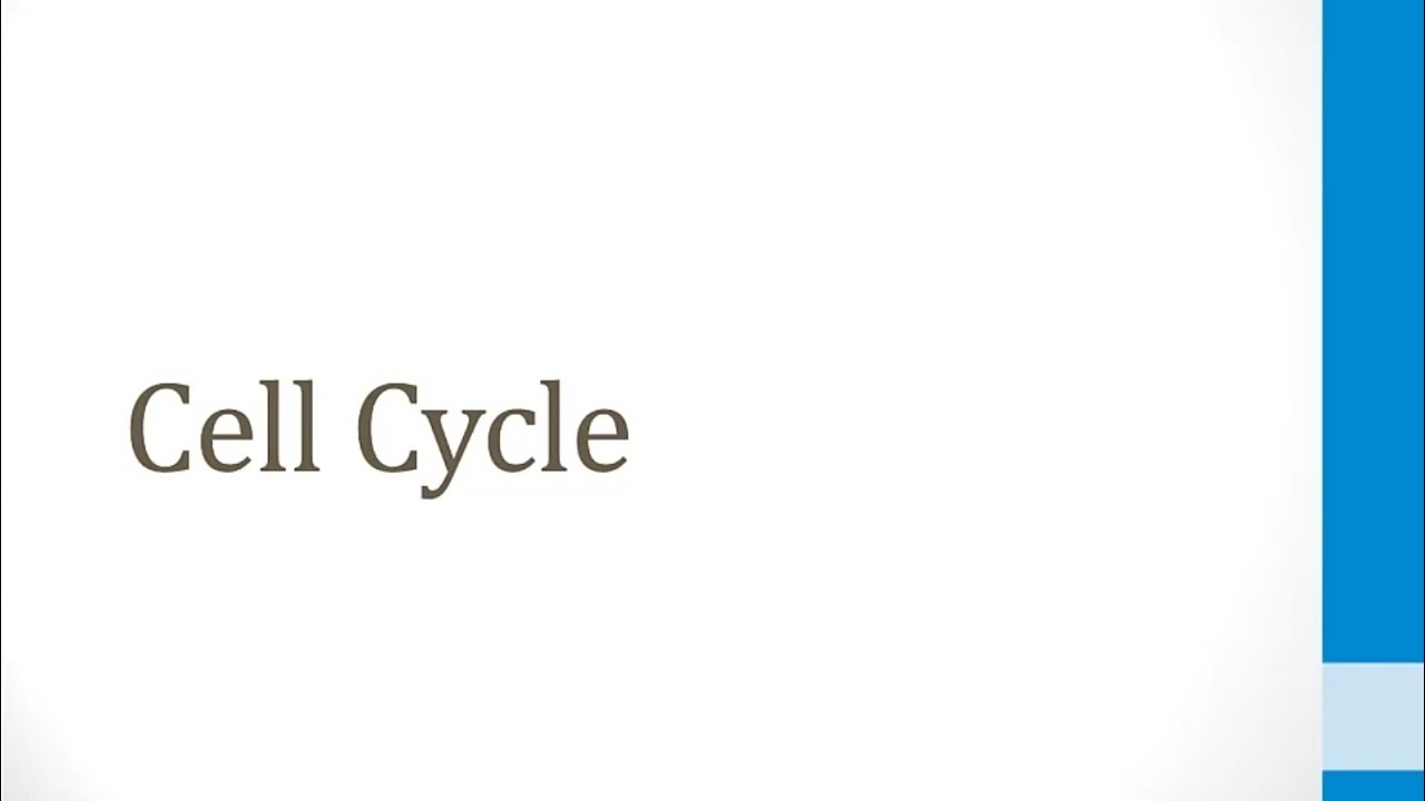 Cyto 3.1 Cell Cycle - YouTube