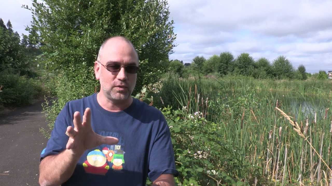 Diablo Gamer Dies After 40 Hour Gaming Session - YouTube