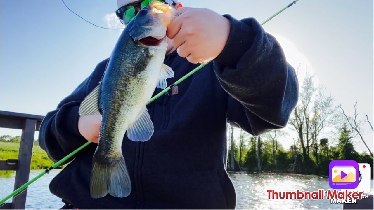 Check and fish - YouTube