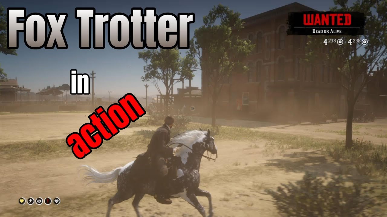 Shootout : Silver Dapple Pinto Missouri Fox Trotter in Blackwater : Red ...