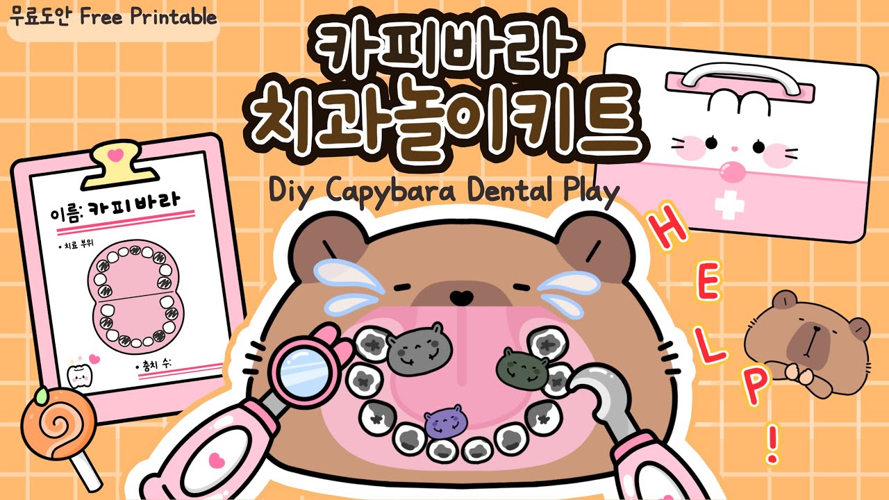 카피바라 치과놀이키트 만들기 Diy Capybara Dental Play Kit - YouTube