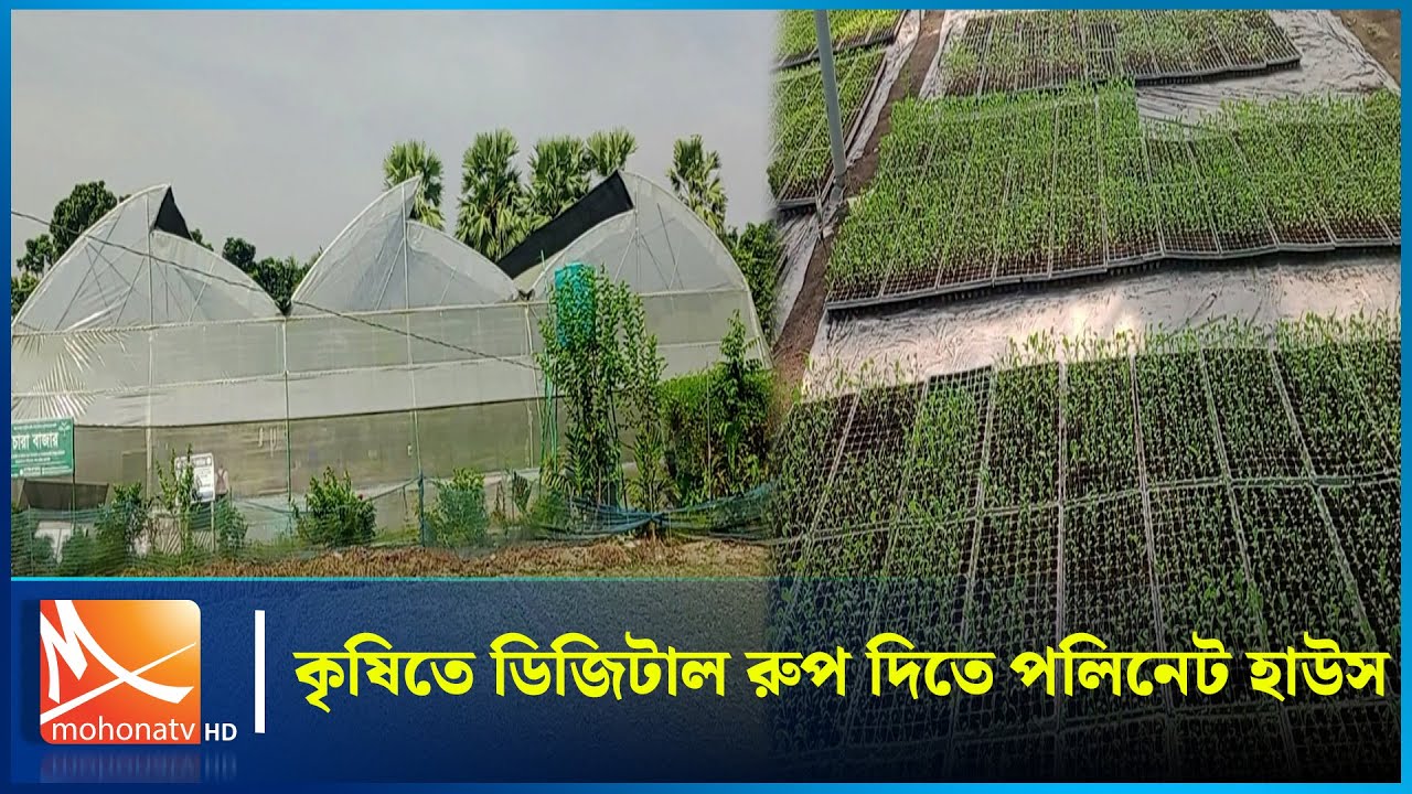 কৃষিতে ডিজিটাল রুপ দিতে পলিনেট হাউস | Polynet House | Mohona TV - YouTube