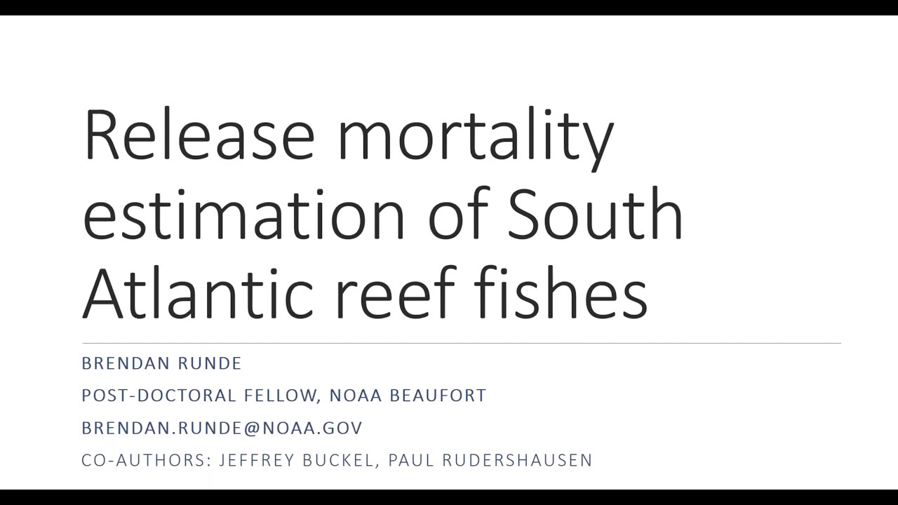 Seminar Series: Release Mortality Estimation of South Atlantic Reef ...