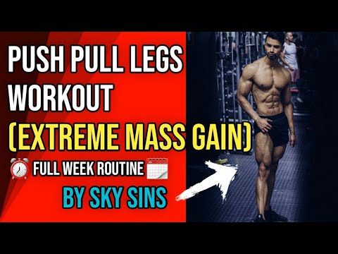 PUSH PULL LEGS COMPLETE WORKOUT ROUTINE BY SKY SINS [SCIENCE BASED ...