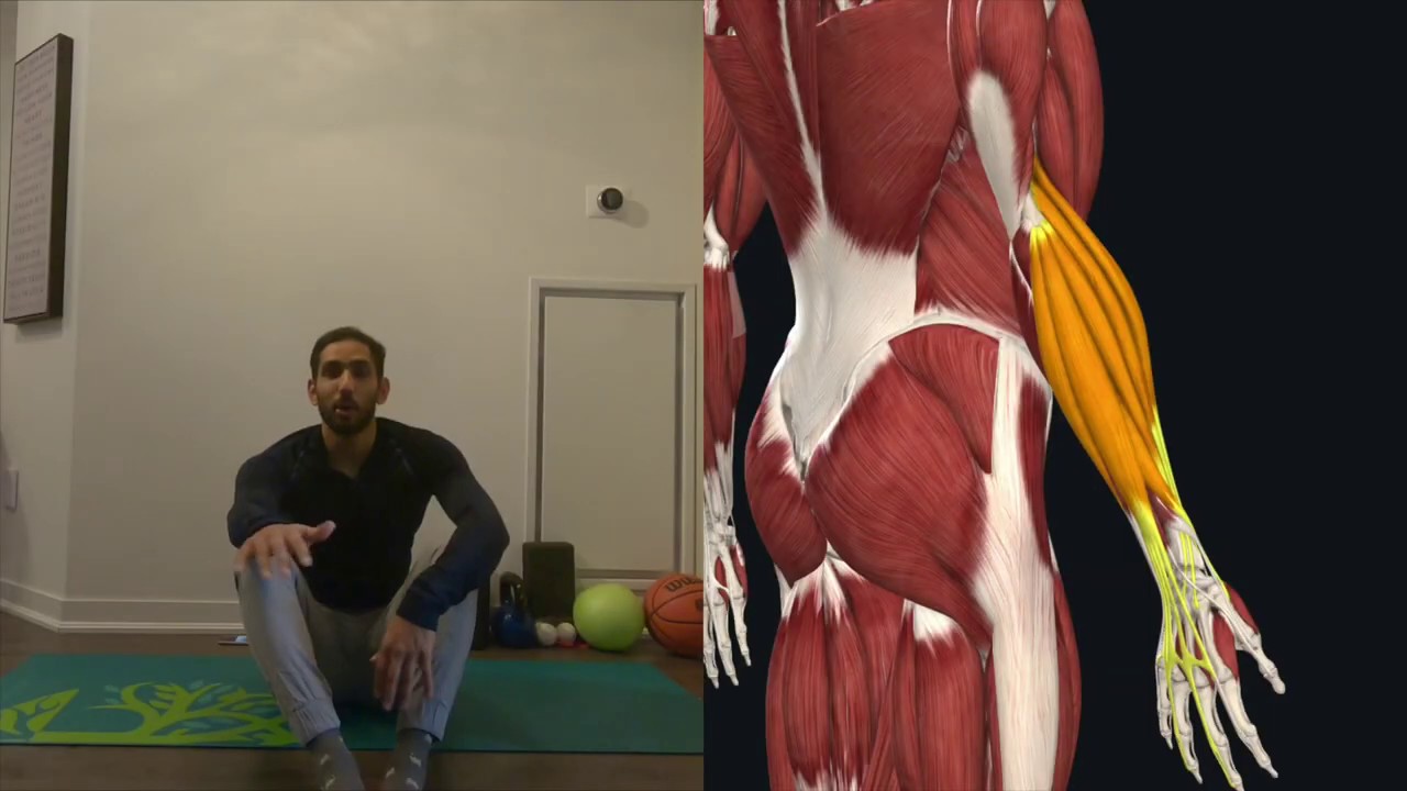 AROM Wrist flexion and extension - Exploring Wrist Motion - YouTube