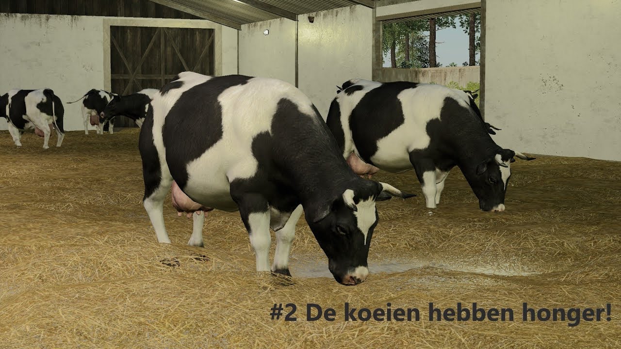 {NL} Farming Simulator 19 | Timelaps | Hof Bergmann #2 De koeien hebben ...