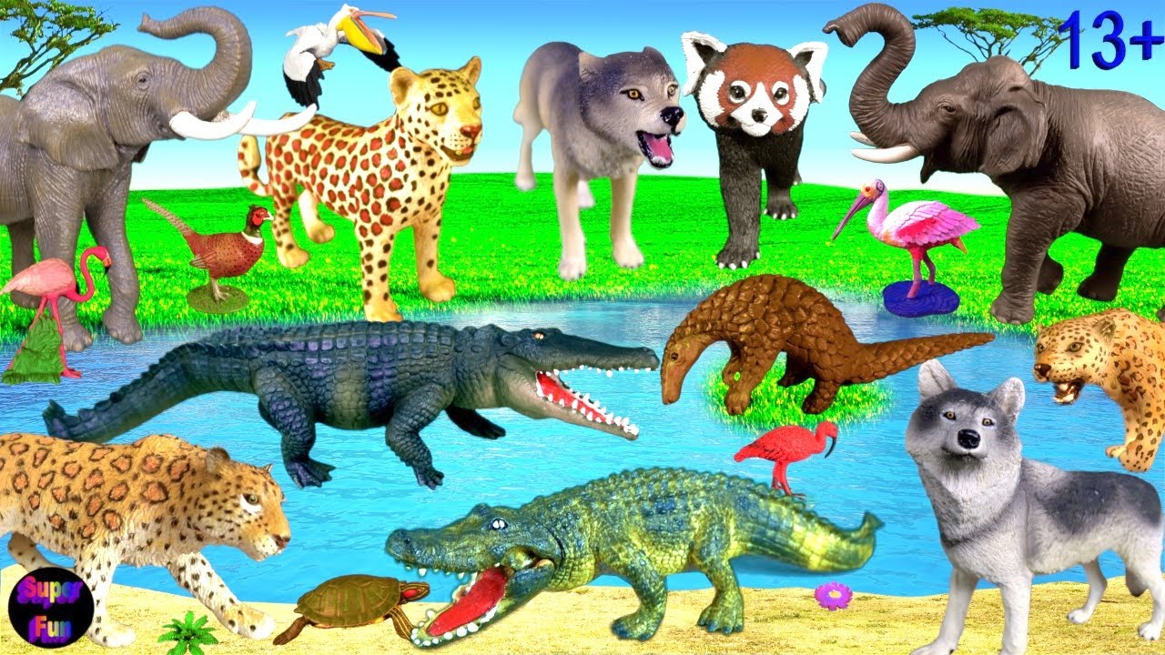 Animals - Elephant Leopard, Alligator, Grey Wolf, Red Panda, Pangolin ...