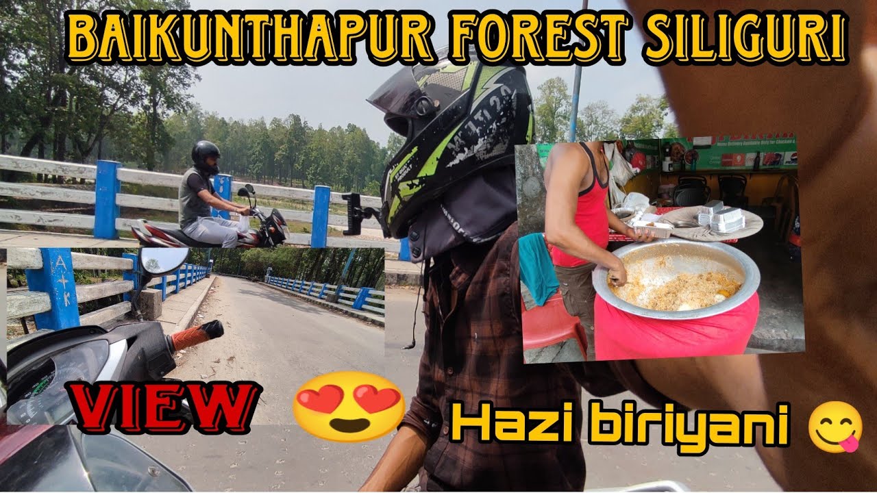 Exploring baikunthapur forest in siliguri😇 (borofapri siliguri) 😎🌲 ...