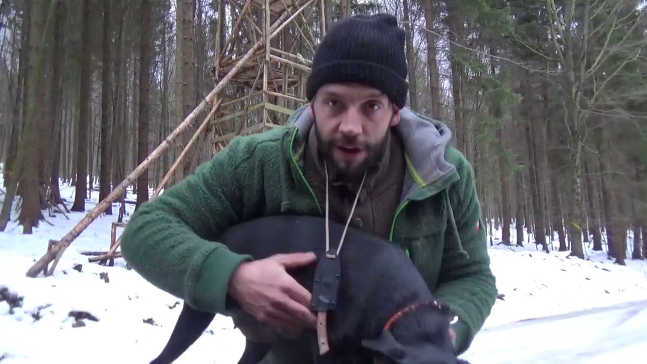 HEIDETERRIER DRÜCKJAGD BEST OF - YouTube