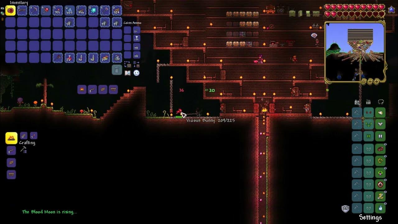 How To Get Bunny Hood Vanity Item Terraria 1 4 3 2 YouTube how-to-get-bunny-hood-vanity-item-terraria-1-4-3-2-youtube