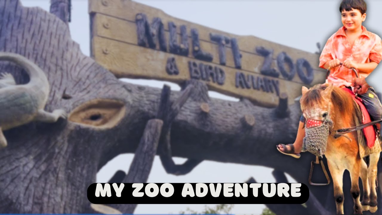 My zoo adventure| Multi zoo Islamabad explored - YouTube