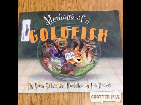 Memoirs of a Goldfish - YouTube